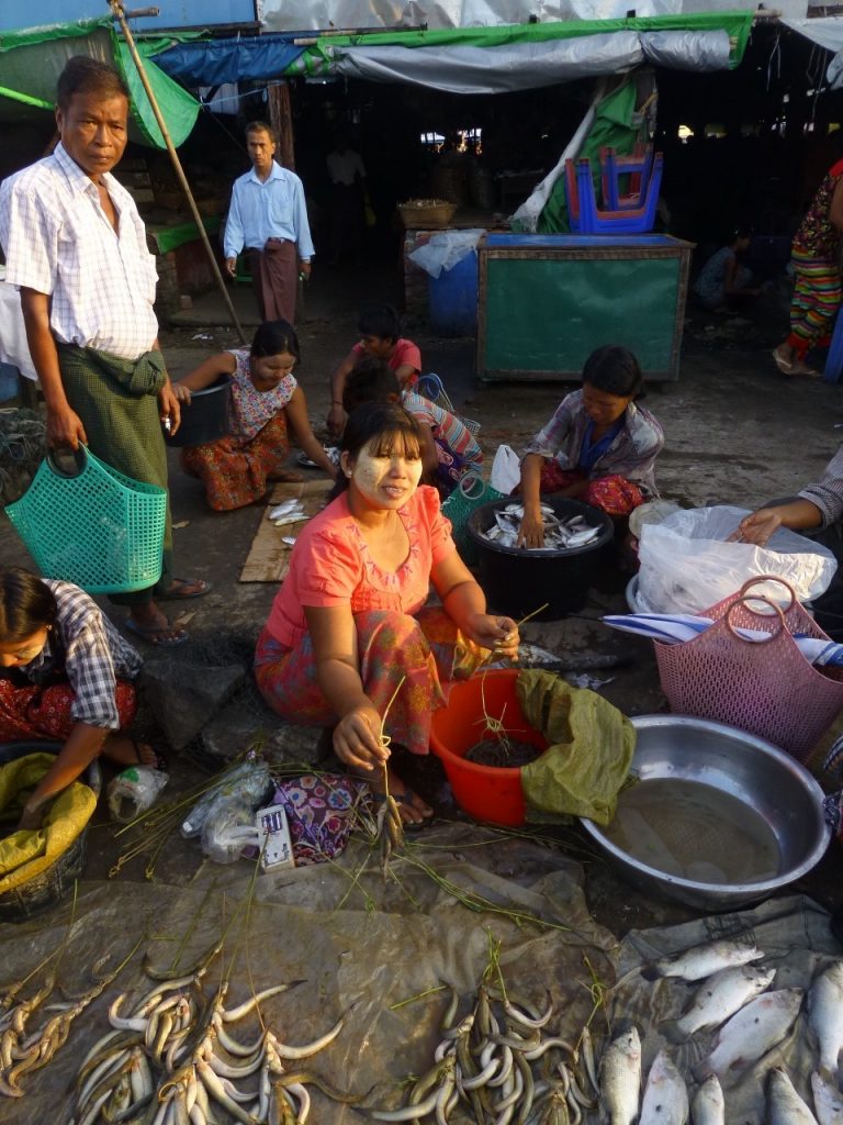 7.1477520383.fish-vendor-at-sittwe-morning-market – Around the World I ...
