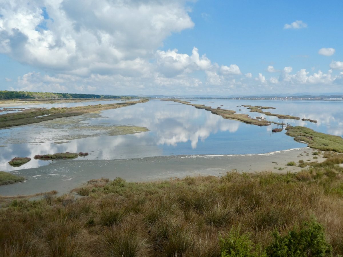 Divjakë-Karavasta National Park – Around the World I Go