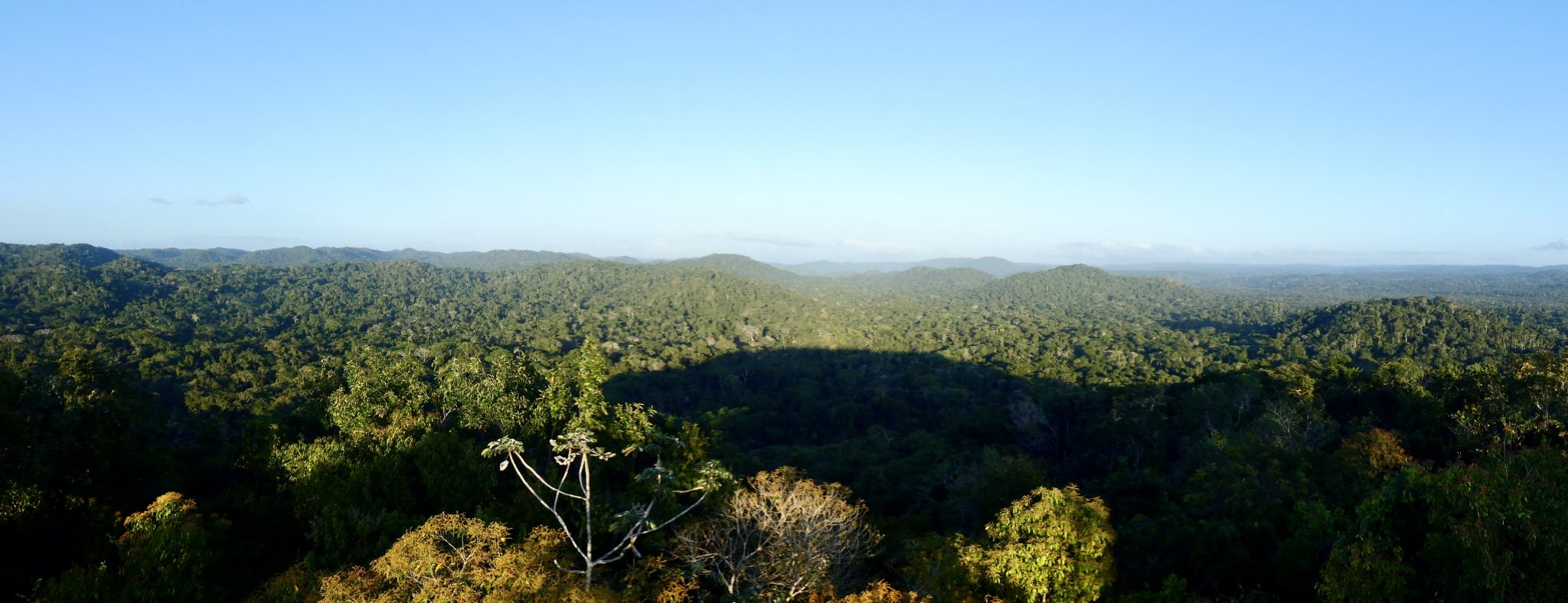 Chiquibul National Forest – Around the World I Go