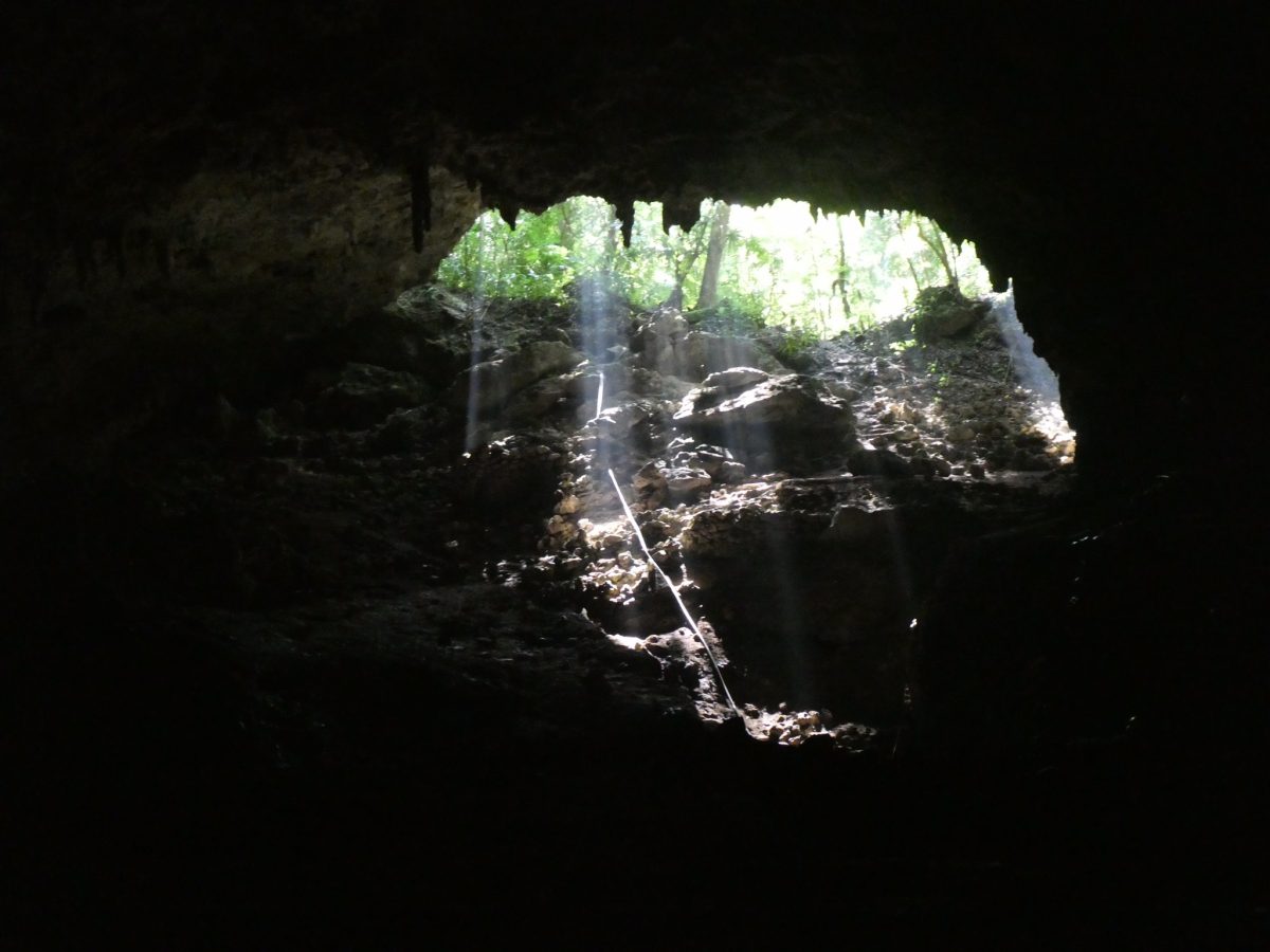 Chiquibul National Forest – Around the World I Go